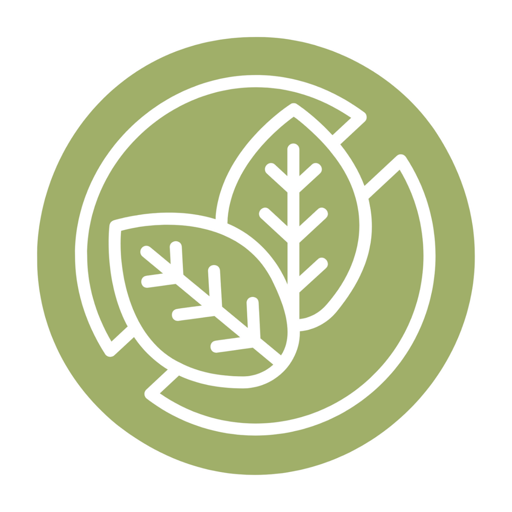 Freshly roasted coffee delivered to you – Beverly Blend
